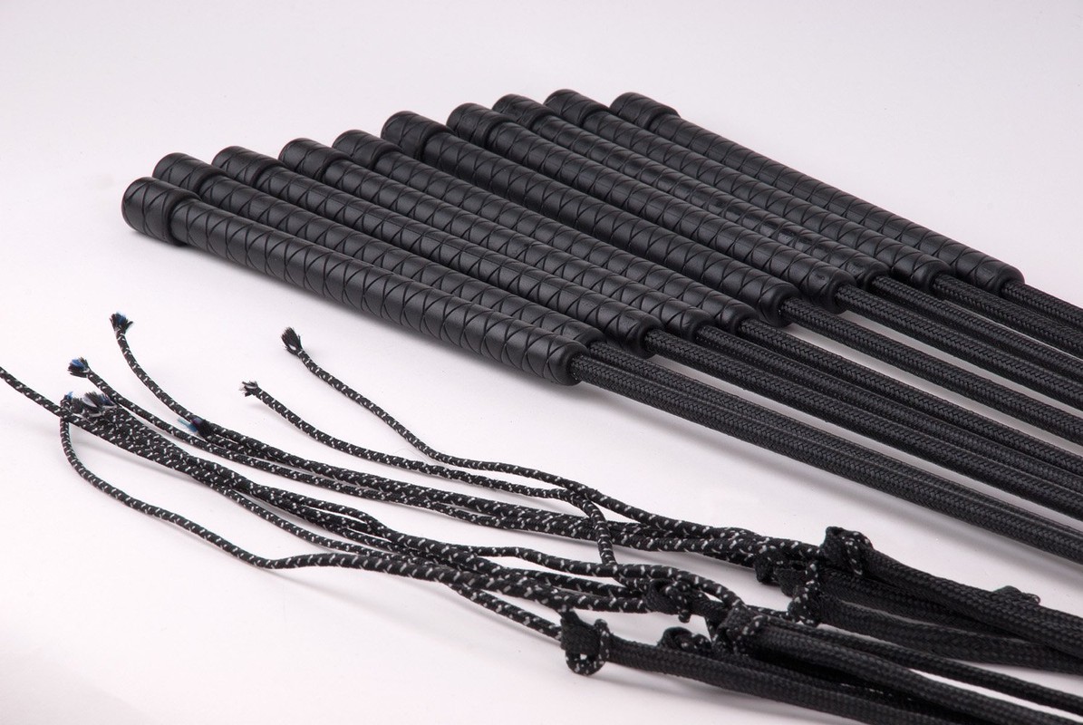 Harlequin Lunge Whip - HAPPA Direct