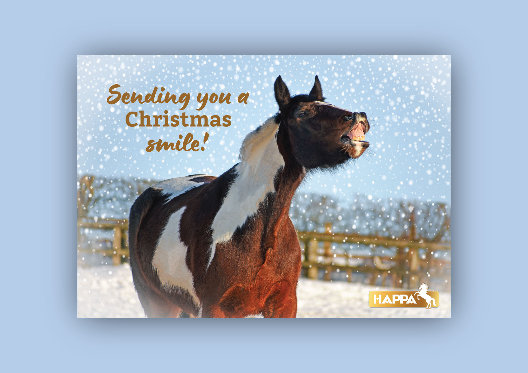 HAPPA Christmas Cards - HAPPA Direct
