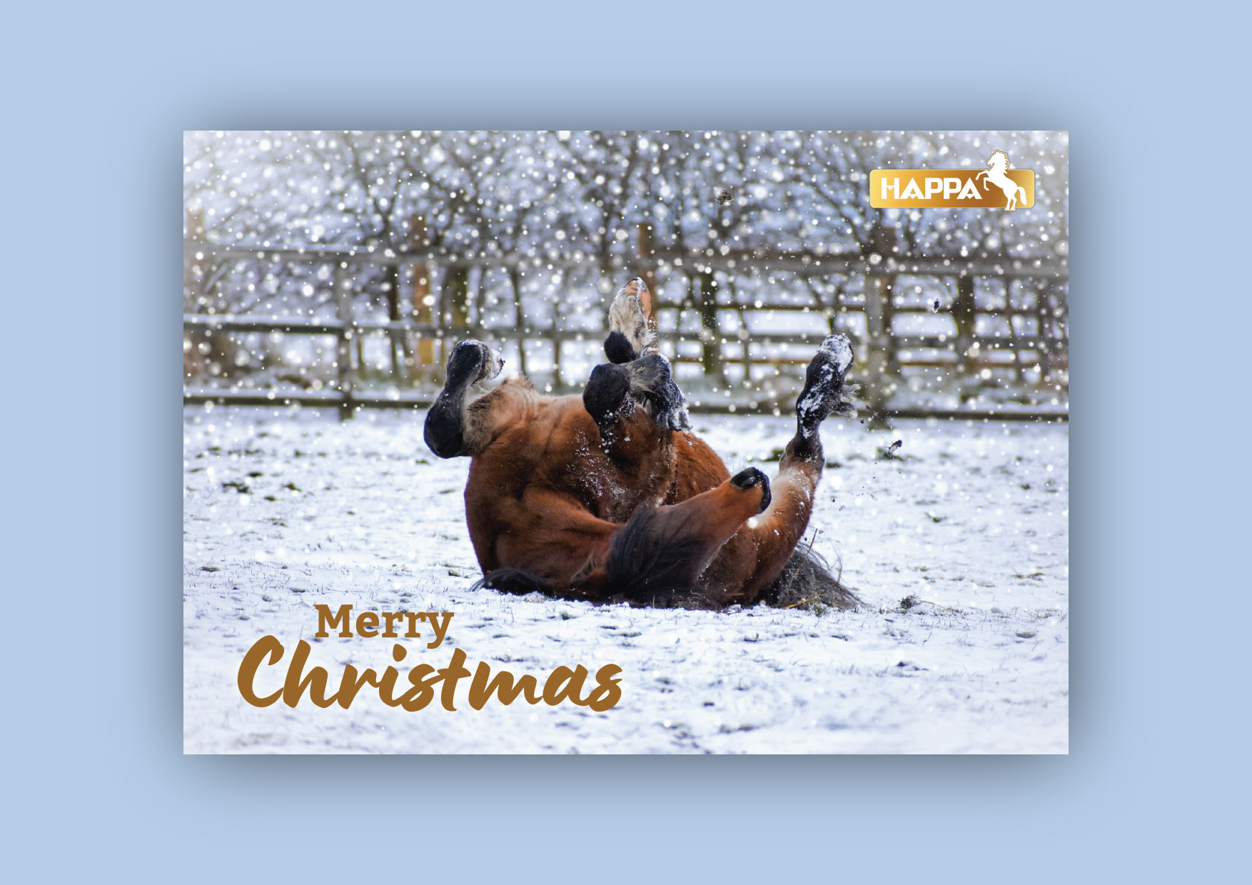 HAPPA Christmas Cards - HAPPA Direct